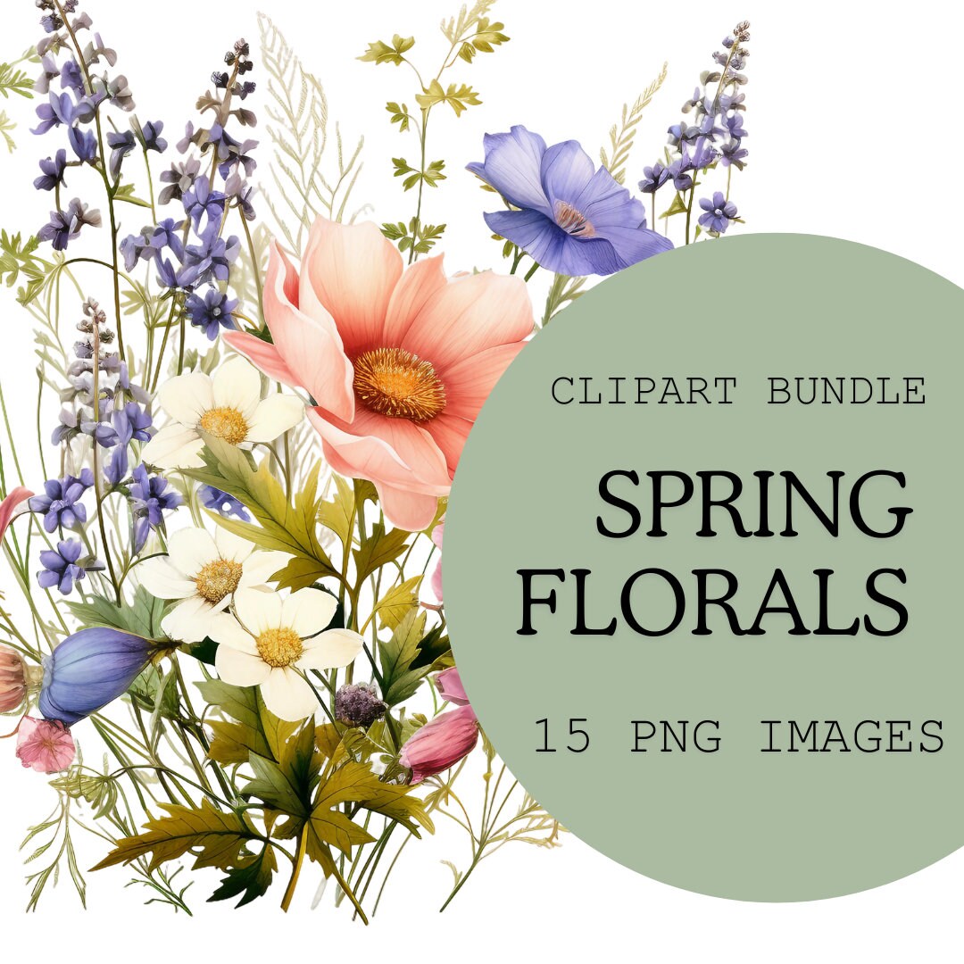 Watercolor Spring Blossom Clipart: PNG Floral Illustration (digital ...
