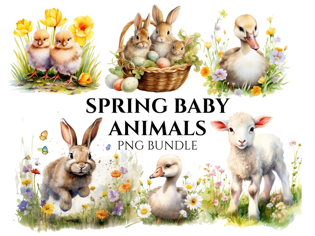 Easter Animals Clipart, Adorable Watercolor PNG, Spring Digital ...