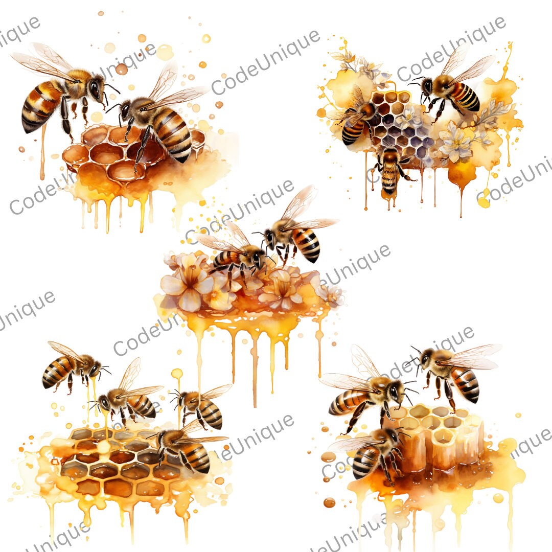 Watercolor Honeybee Clipart PNG Bundle: Honeycomb Art (digital Download ...