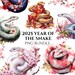 Lunar Year 2025, Year of the Snake Clipart Bundle, Happy Chinese New ...