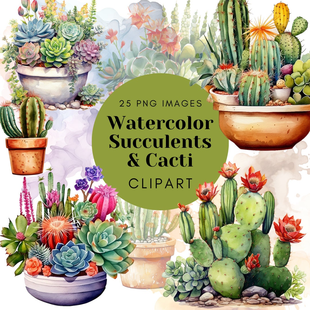 Cacti and Succulent Clipart Bundle, Various Styles, Floral, Sketch ...