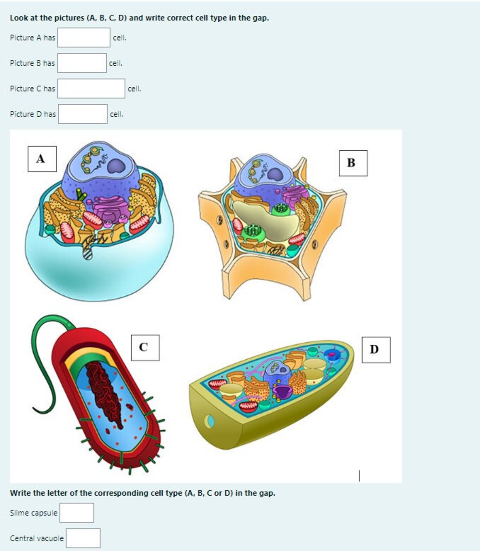 15 Moodle Exercises on Cells (animal, Plant, Bacteria, Fungi Cells). - Etsy
