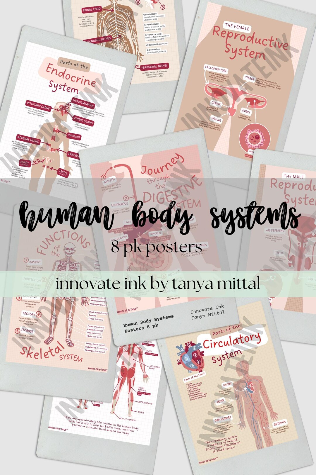 Aesthetic Printable Human Body Systems Posters 8pk Educational Wall Art ...