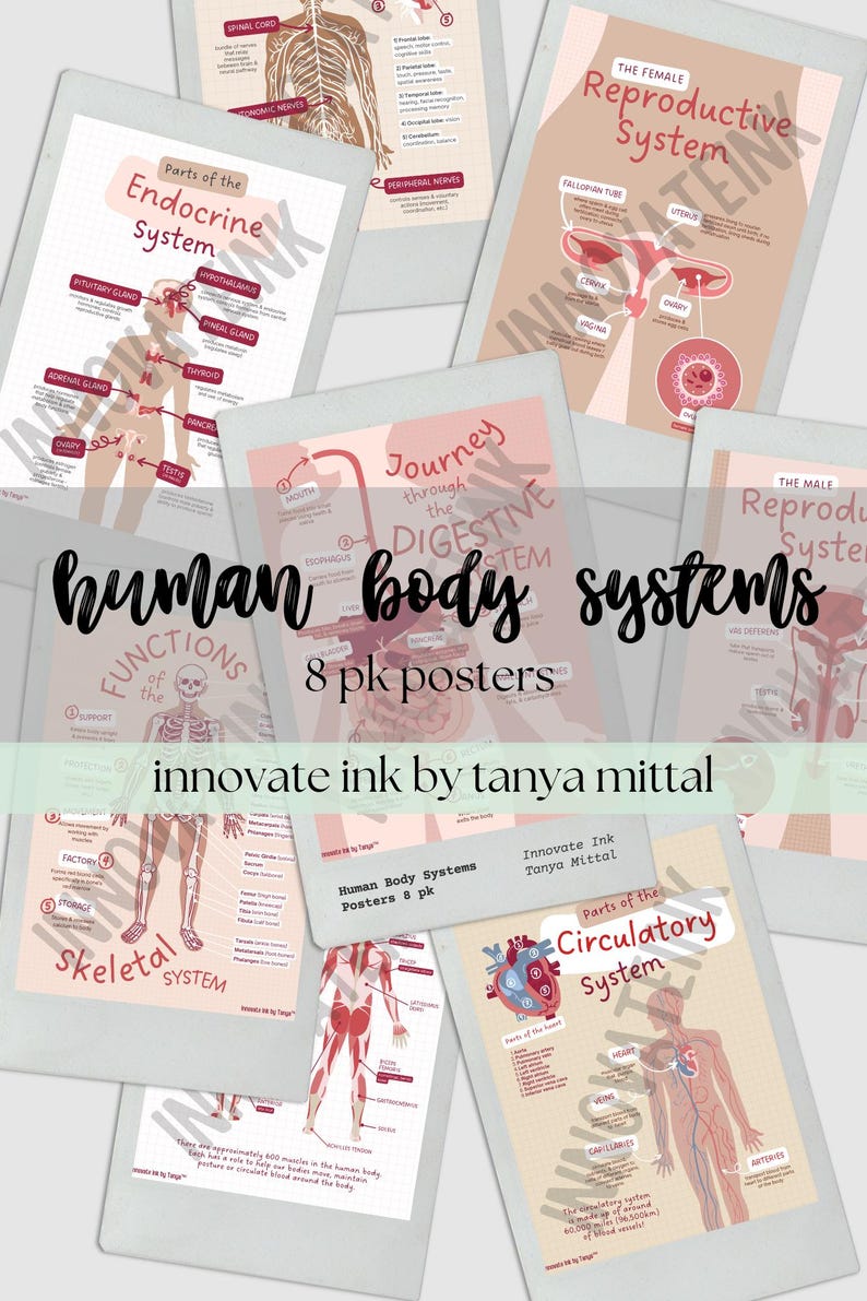 Aesthetic Printable Human Body Systems Posters 8pk Educational Wall Art ...