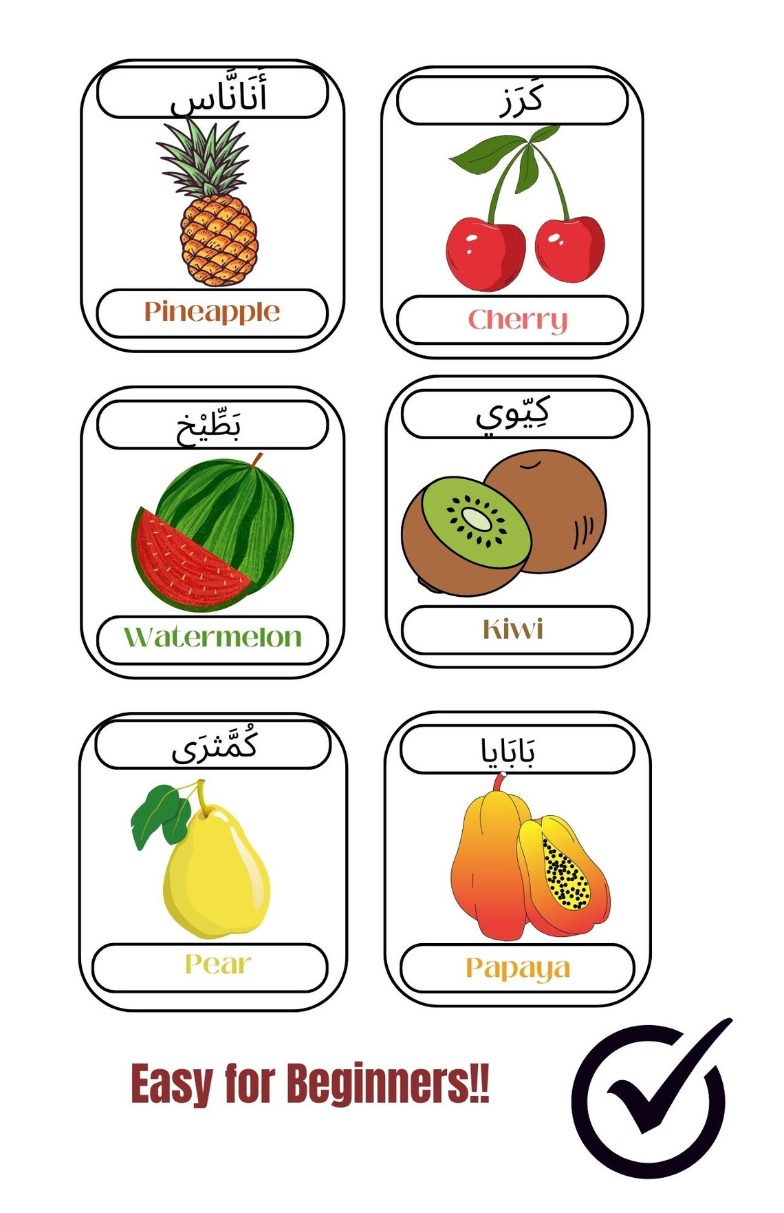 Arabic Educational Fruit Flash Cards English and Arabic Easy Beginners ...