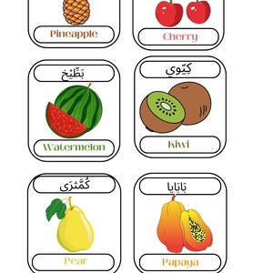 Arabic Educational Fruit Flash Cards English and Arabic Easy Beginners ...