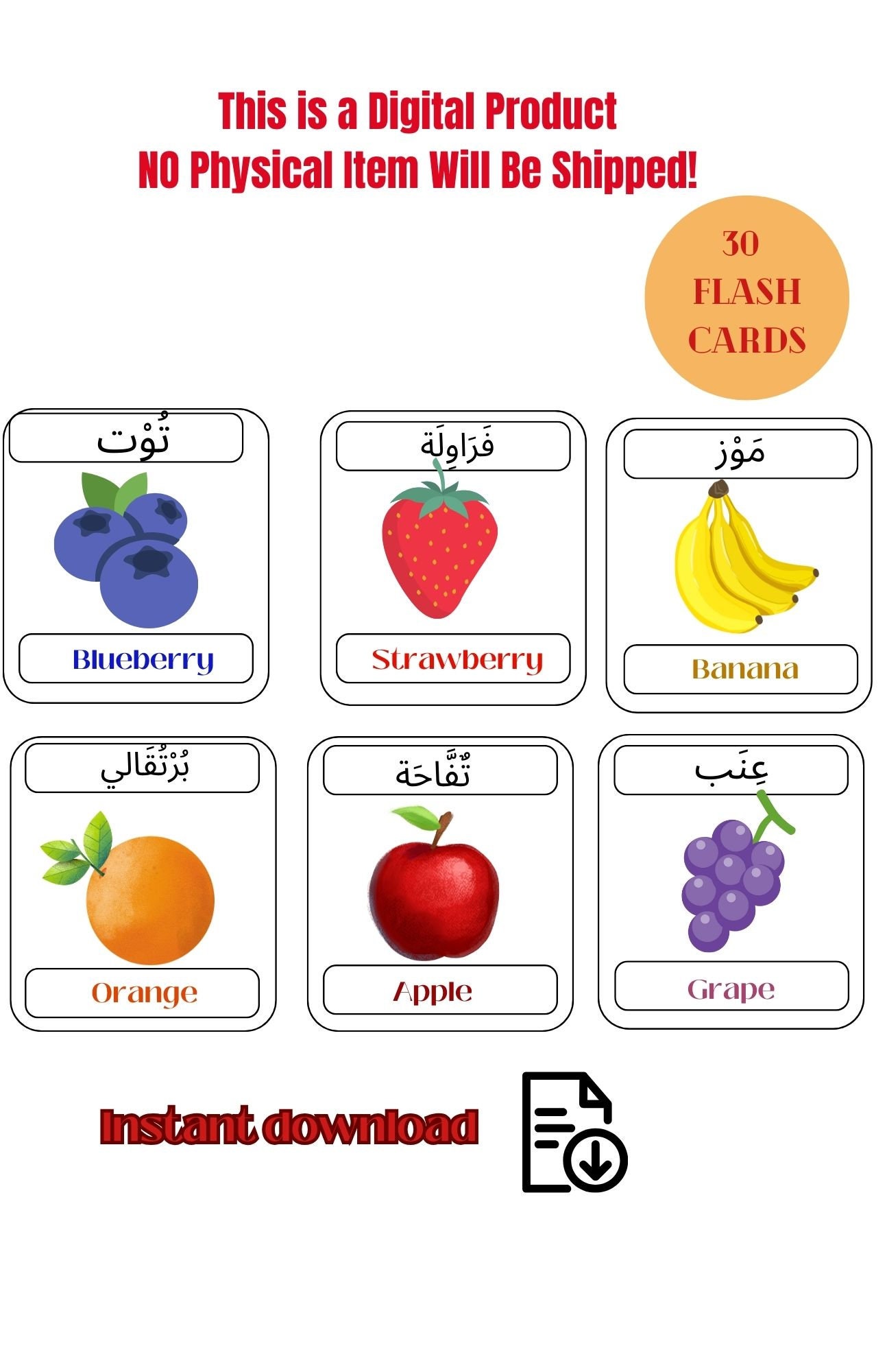 Arabic Educational Fruit Flash Cards English and Arabic Easy Beginners ...