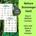 Nature Scavenger Hunt, Scavenger Hunt, Treasure Hunt Clues, Scavenger ...