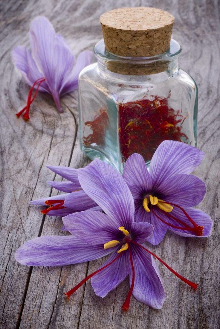 Premium Saffron for Cooking & Beauty | Buy Authentic Saffron Online 10 ...