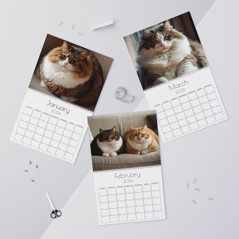 Fat Cat Wall Calendar 2026: Kitten Planner - Etsy