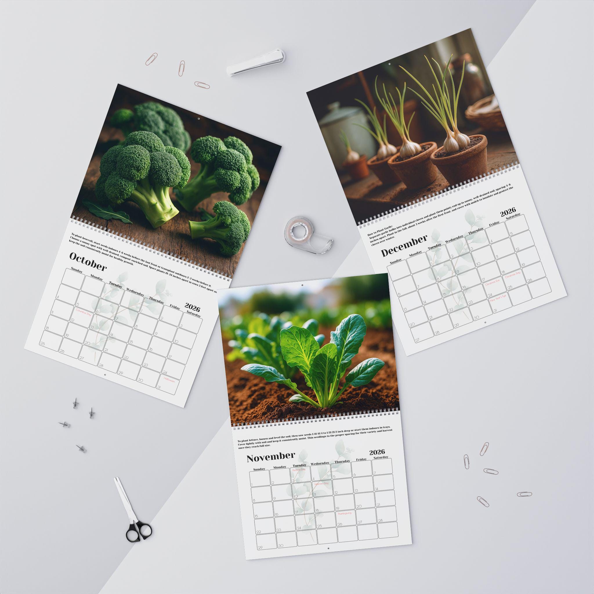 Planting Tip Calendar 2026, Farmhouse Kitchen Decor, Gardening Gift ...