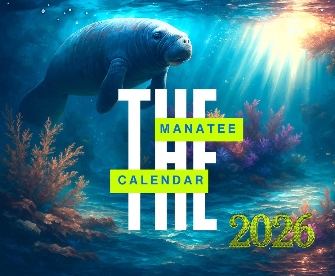Manatee Wall Calendar, Ocean Art Decor, 2026 Blue Monthly Planner - Etsy