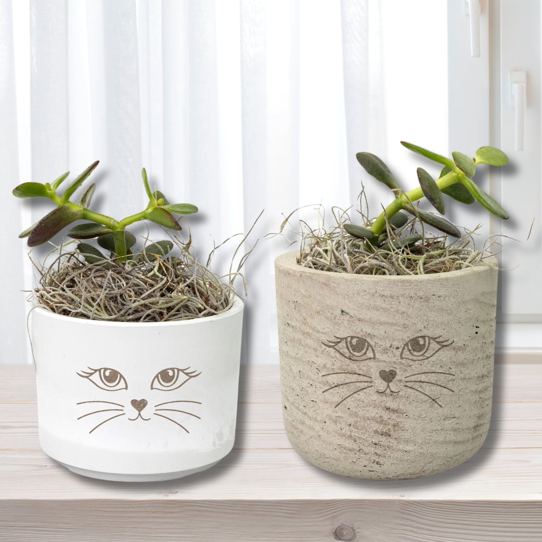 Cat Face Planter, Desk Potted Plant, Plant for Desk, Plant for Work ...