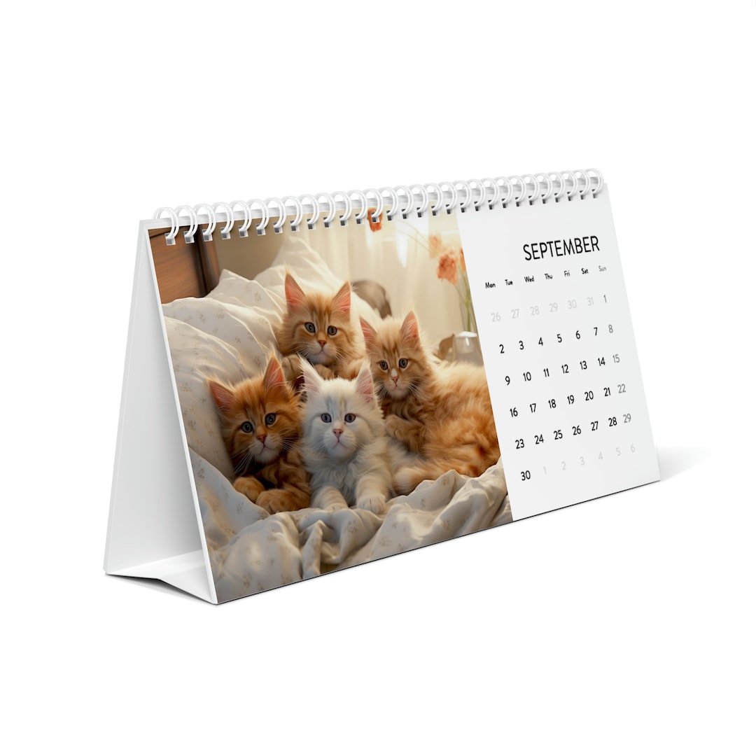 Sweet Cat Calendar, Cat Desk Calendar, 2024 Desk Calendar, Kitten ...