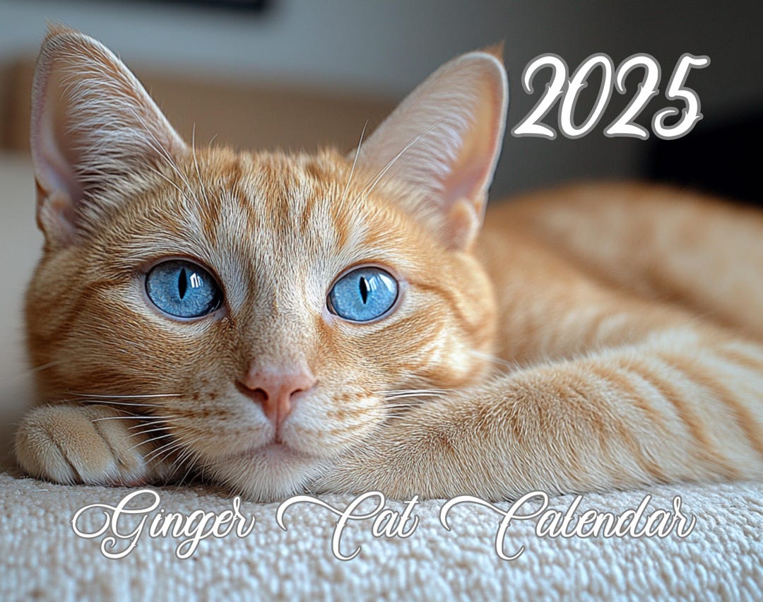 Ginger Cat Calendar, Adorable Ginger Feline 12-month Wall Calendar ...