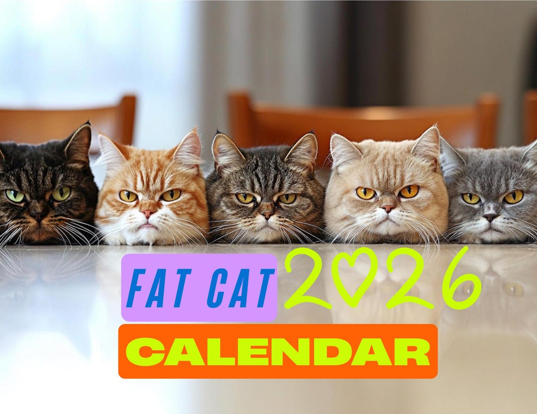 Fat Cat Wall Calendar 2026: Kitten Planner - Etsy
