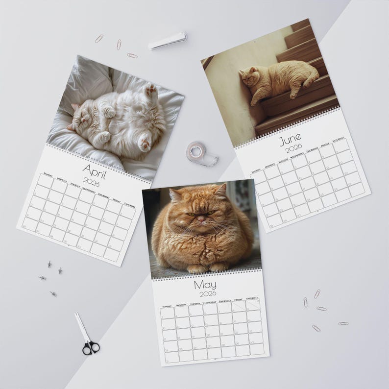 Fat Cat Wall Calendar 2026: Kitten Planner - Etsy