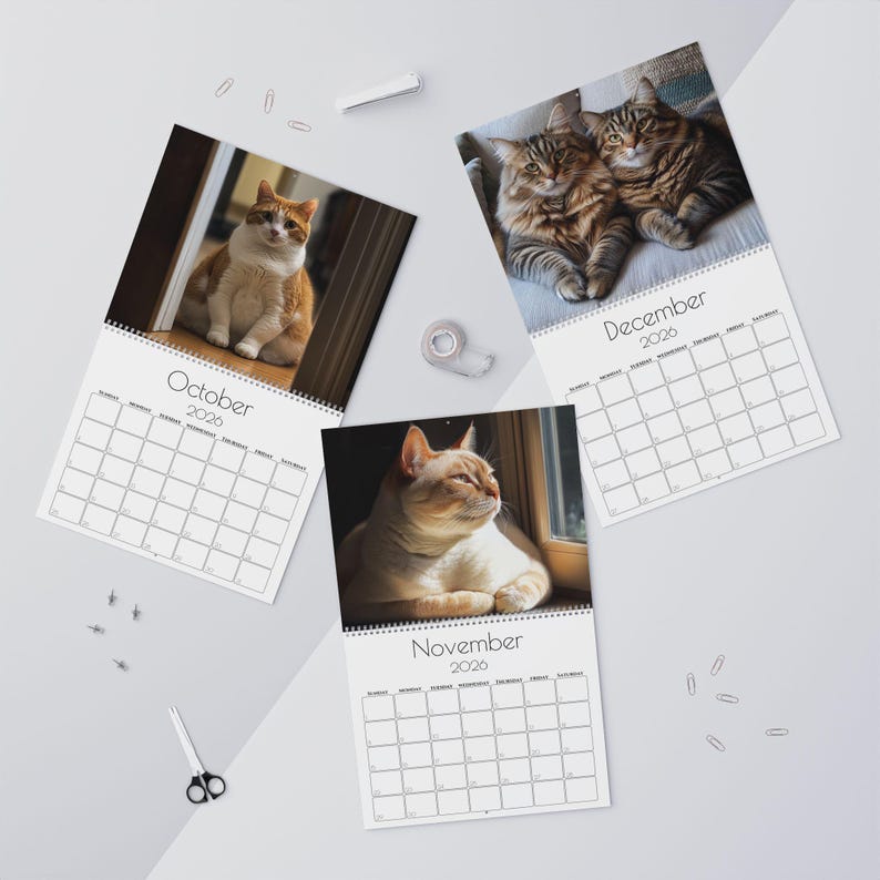 Fat Cat Wall Calendar 2026: Kitten Planner - Etsy