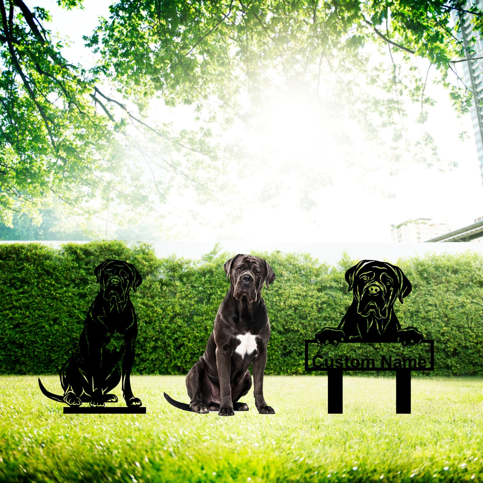 King Cane Corso Dog Custom Portrait, Metal Outdoor Decor, Cáne Corso ...