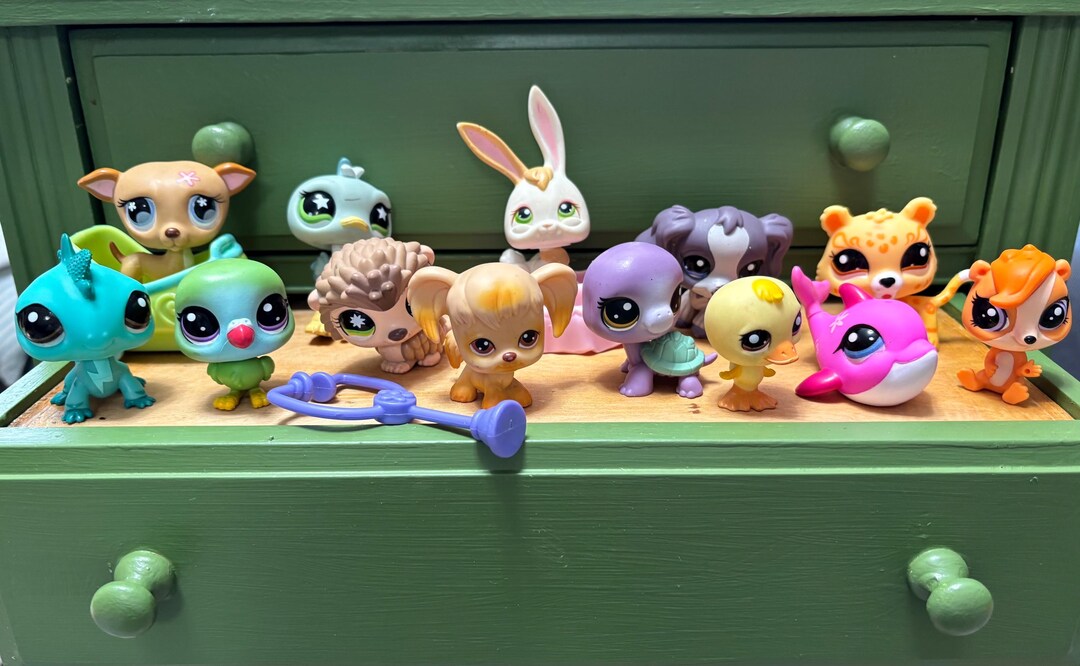 13 Littlest Pet Shop Cute Animal Figures Plus 3 Accessories Lot LPS - Etsy