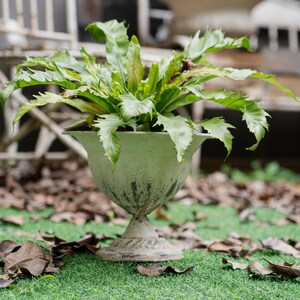Rustic Metal Urn Planter Distressed Antiqued Urn Farmhouse Compote ...