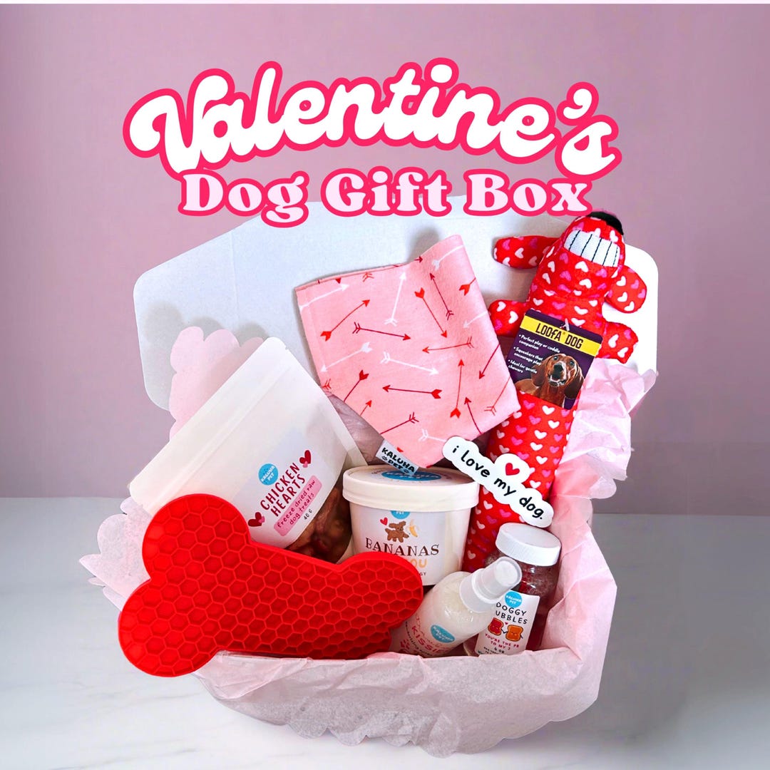 Valentine's Dog Gift Box Personalized Toys, Treats, and Goodies Dog ...