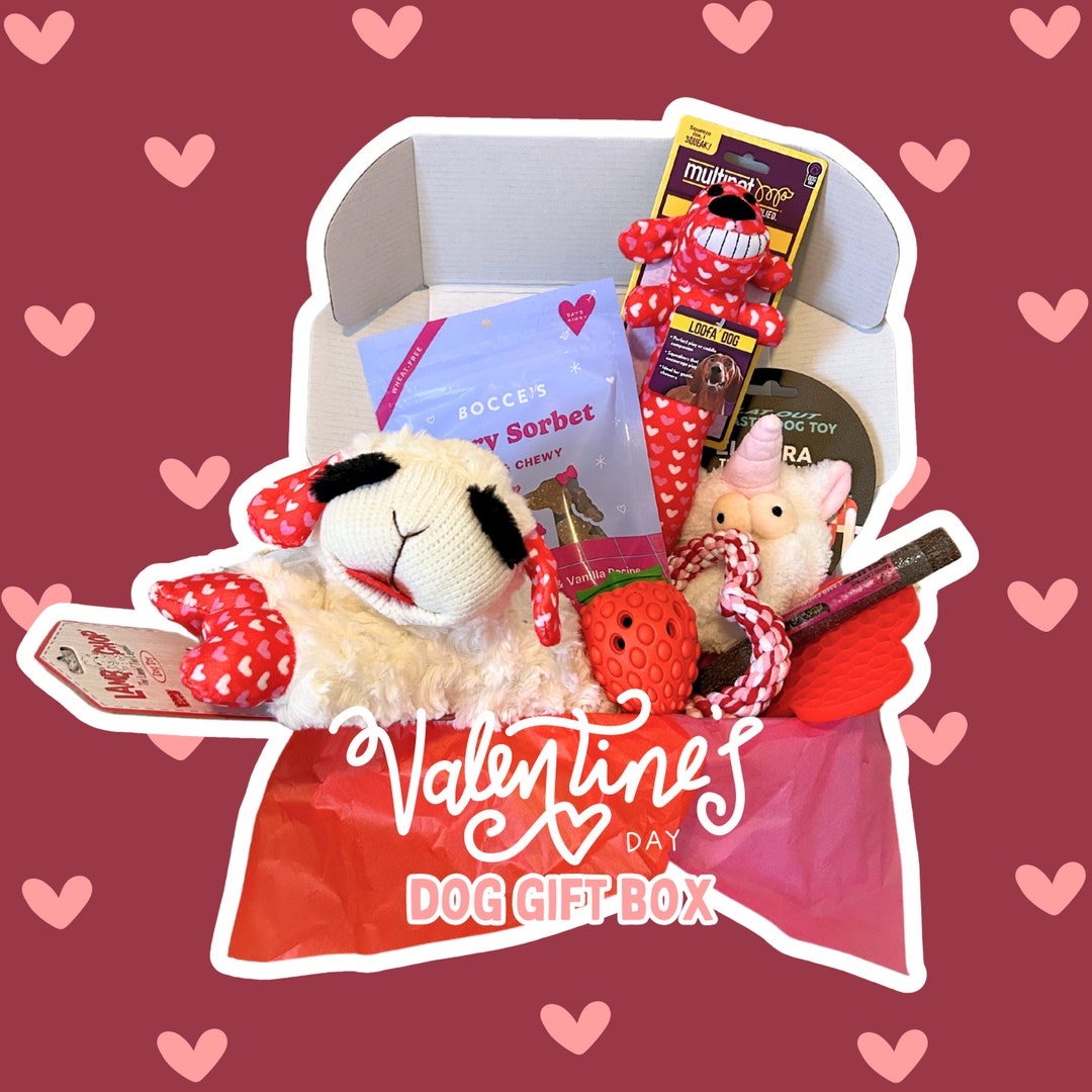 Valentines Day Dog Gift Box - Etsy