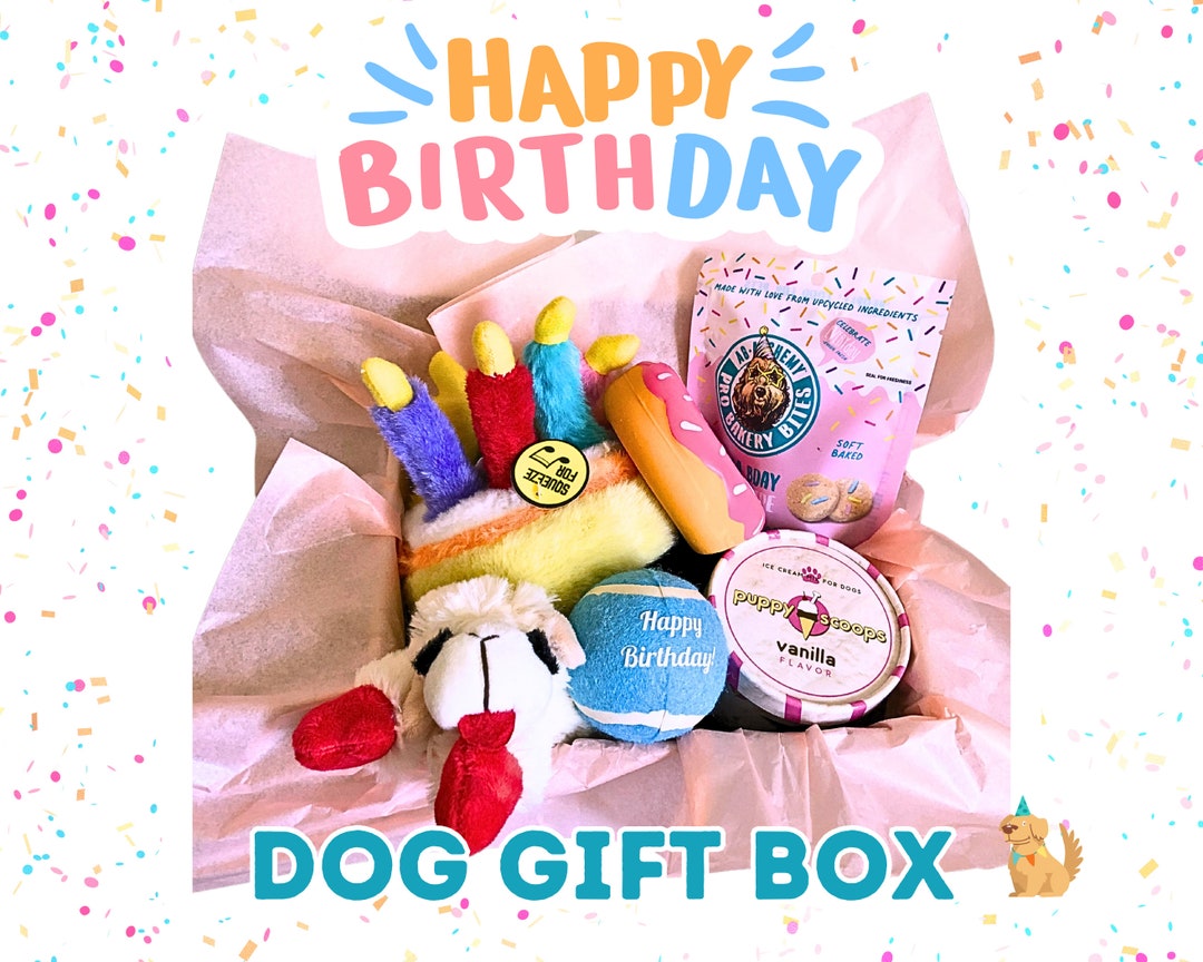 Birthday Dog Gift Box - Etsy