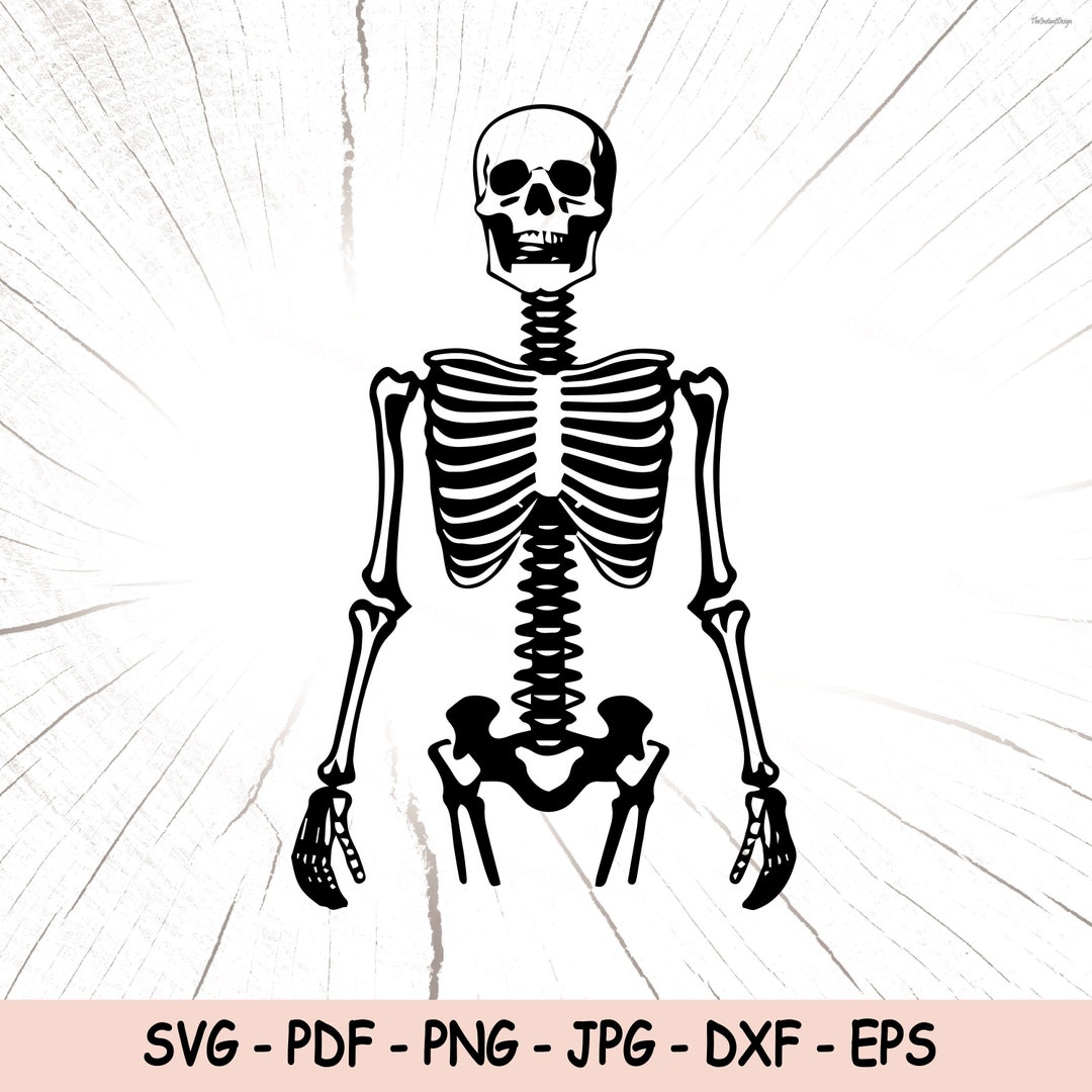 Skeleton SVG, Skeleton PNG, Skeleton Instant Download, Skull Cricut Cut ...