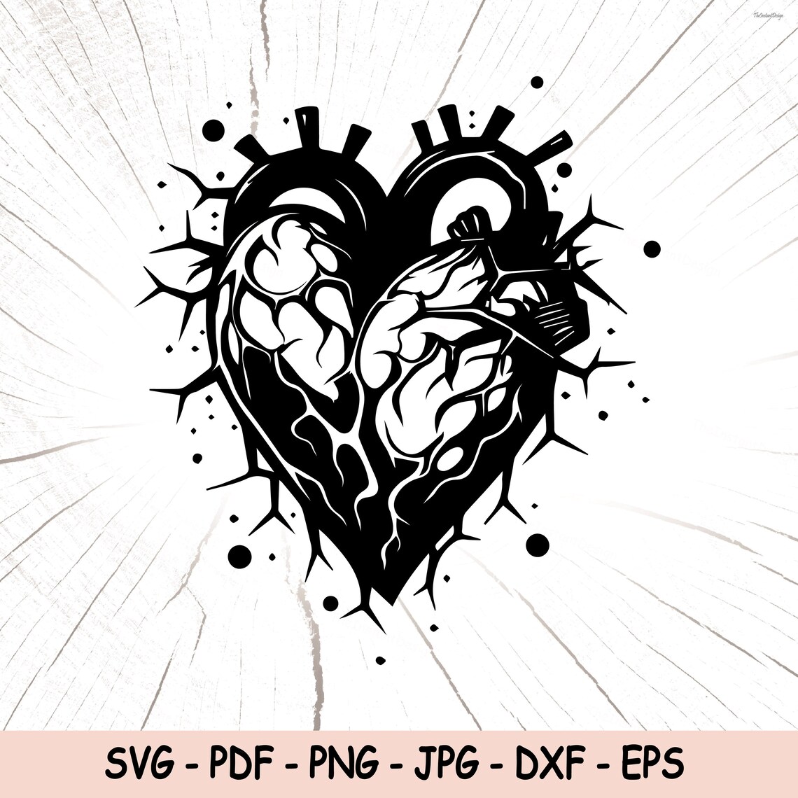 Human Heart Svg, Human Heart Eps, Anatomy Svg, Heart Vinyl Cut File ...