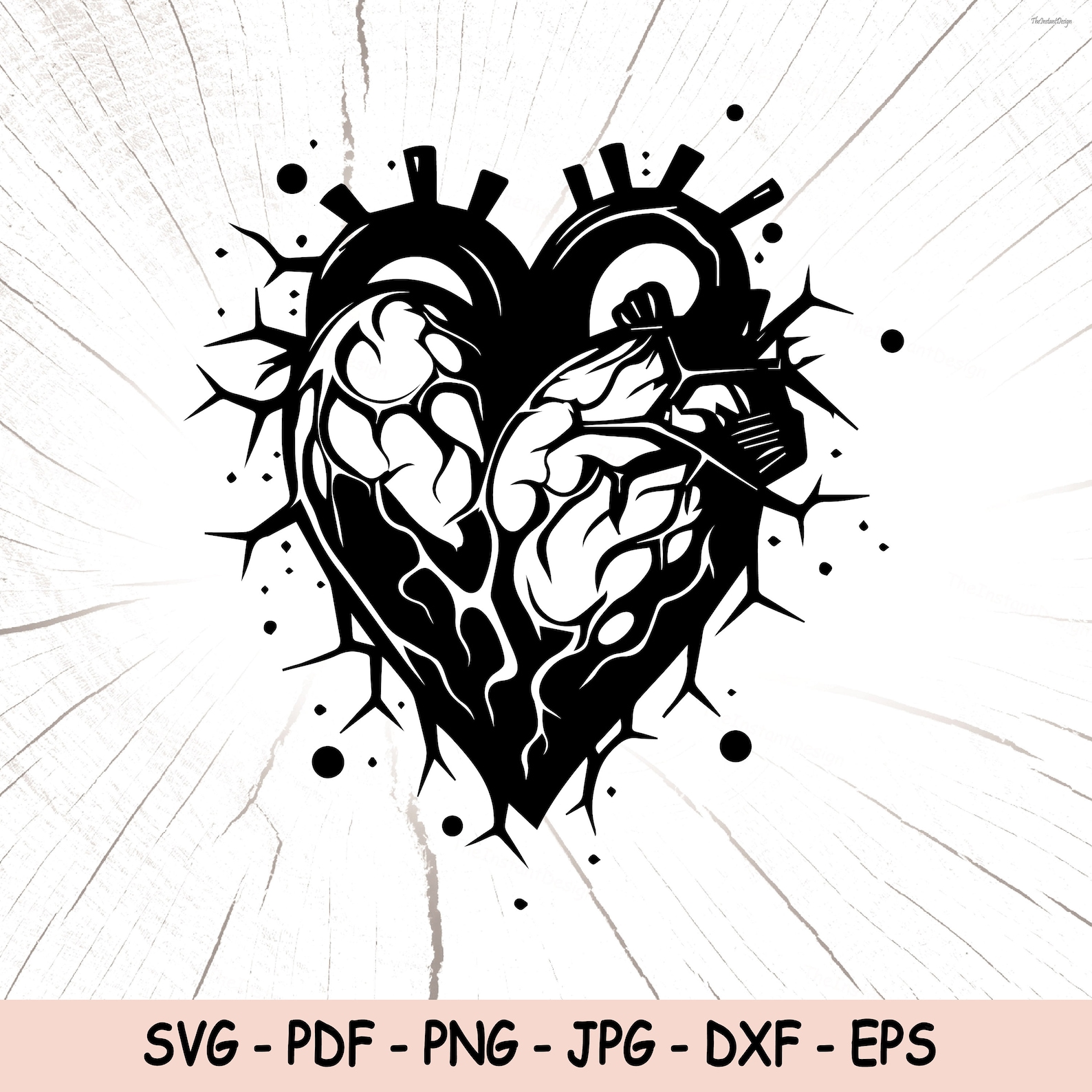 Human Heart Svg, Human Heart Eps, Anatomy Svg, Heart Vinyl Cut File ...