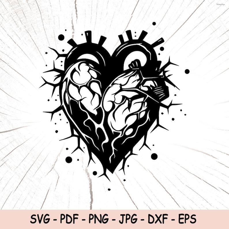 Human Heart Svg, Human Heart Eps, Anatomy Svg, Heart Vinyl Cut File ...