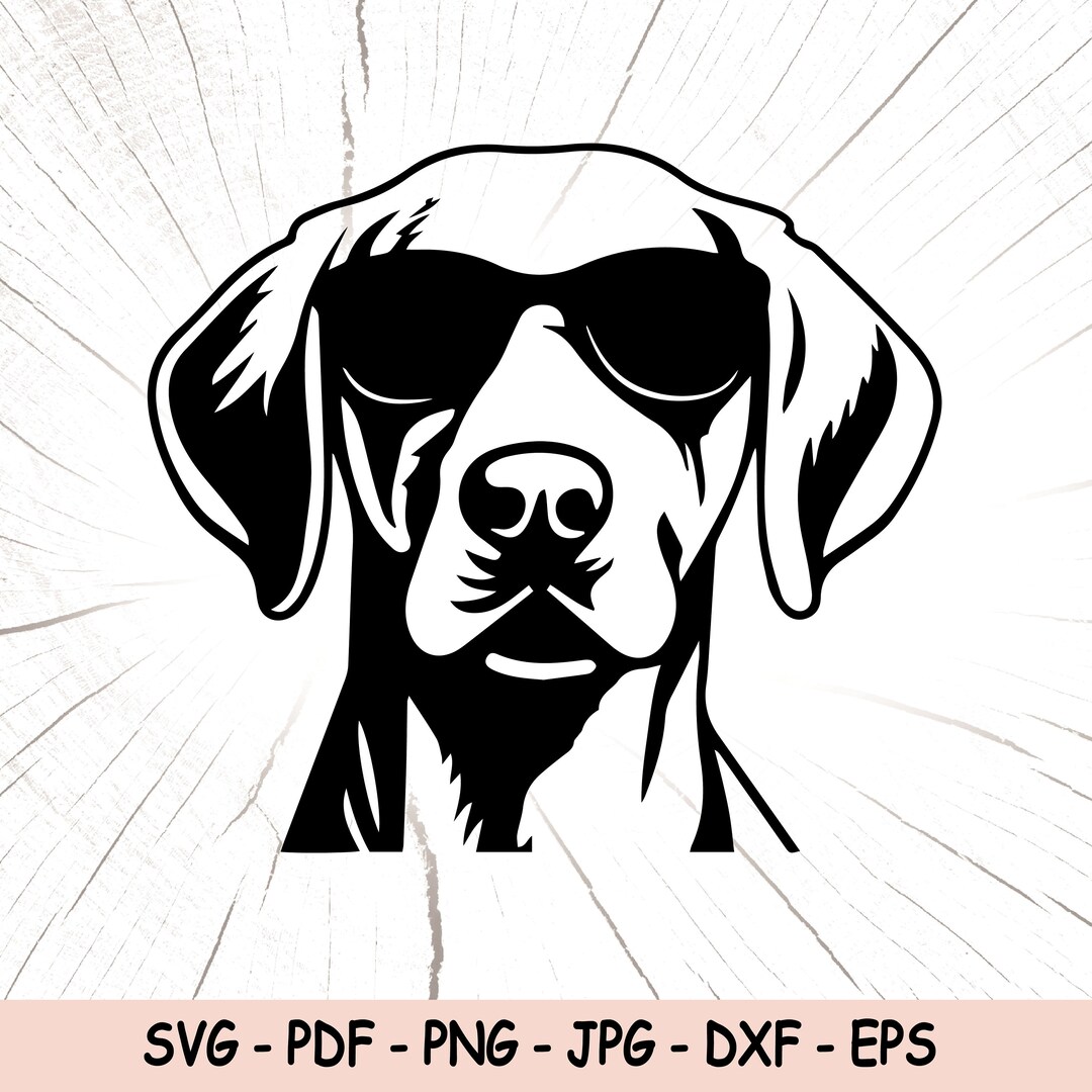Labrador Retriever Svg, Labrador Retriever With Glasses Png, Funny ...