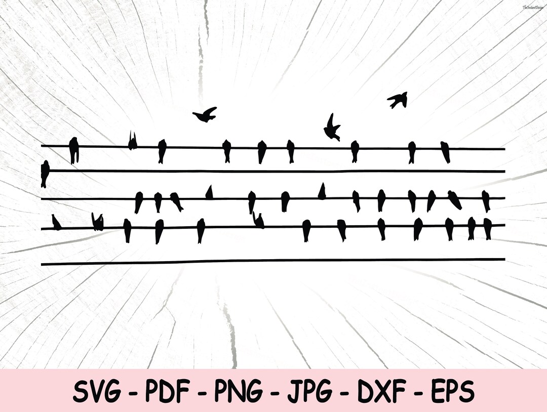 Bird on Wire SVG, Birds on Wire PNG, Bird Instant Download, Bird Wire ...