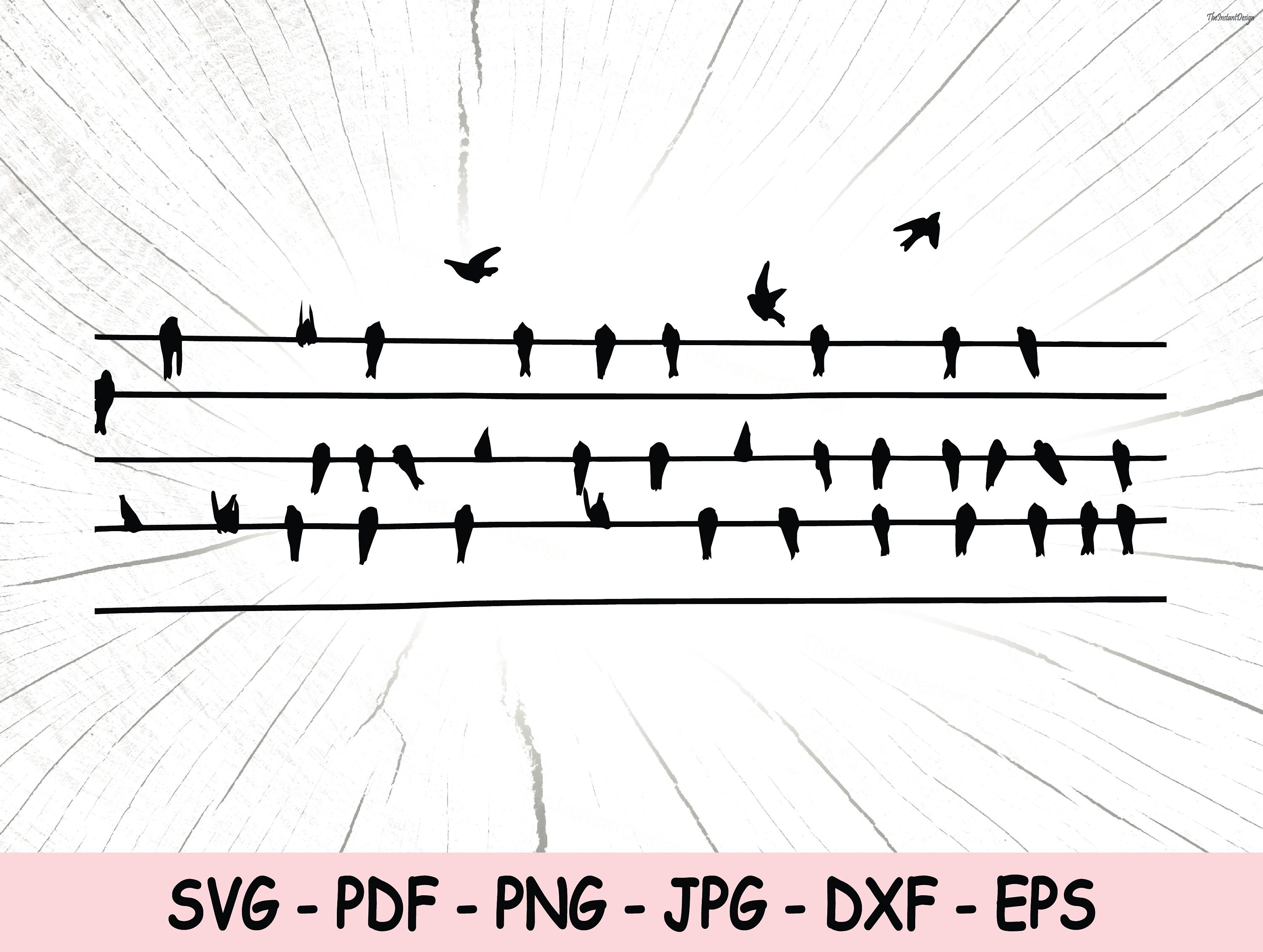 Bird on Wire SVG, Birds on Wire PNG, Bird Instant Download, Bird Wire ...