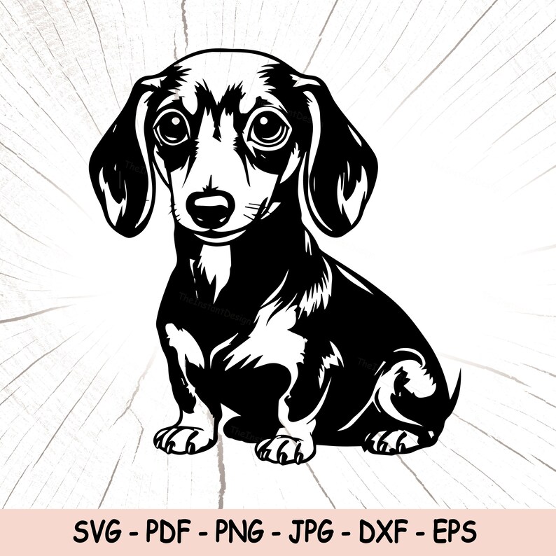 Dachshund SVG, Dachshund PNG, Dachshund Instant Download, Dachshund ...
