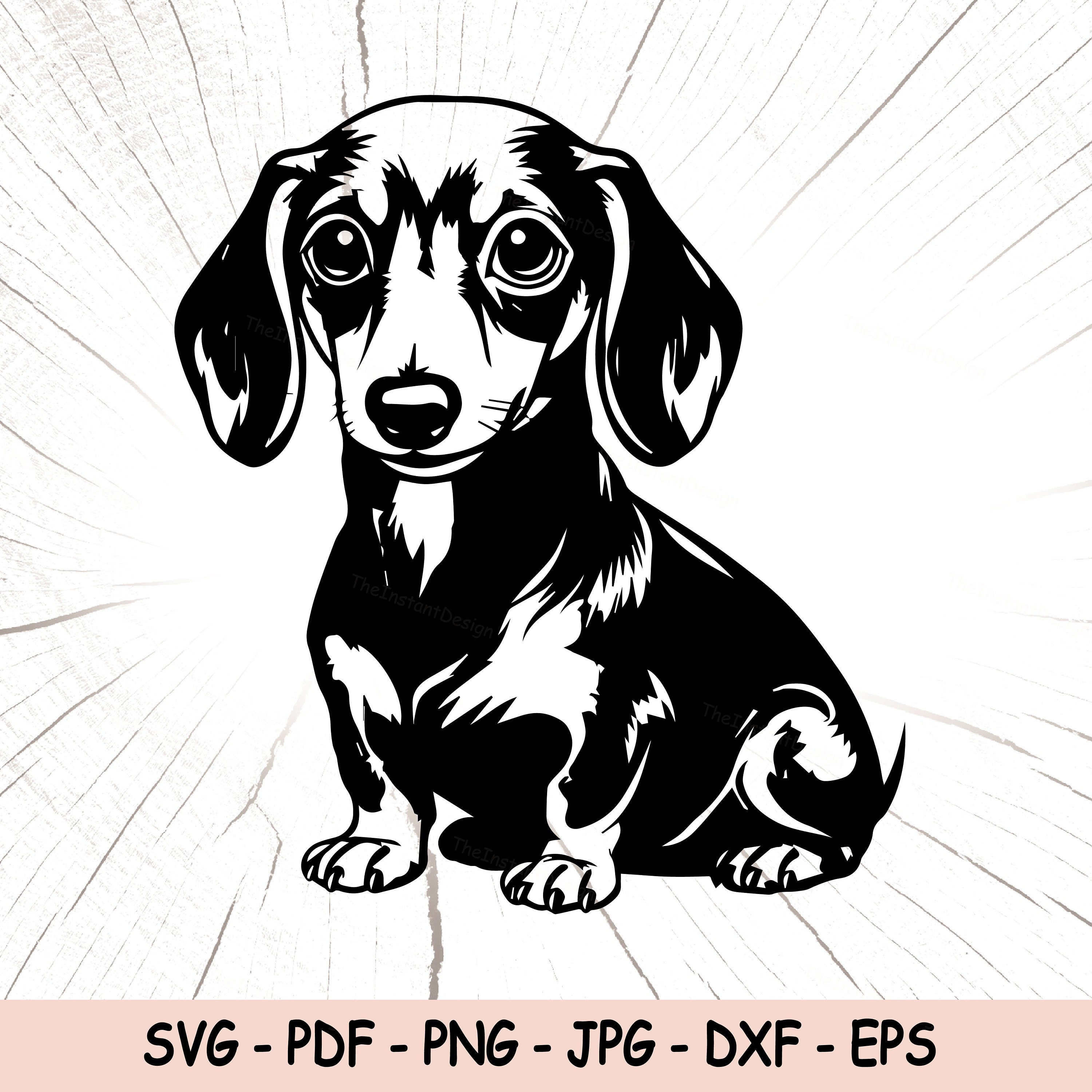 Dachshund SVG, Dachshund PNG, Dachshund Instant Download, Dachshund ...