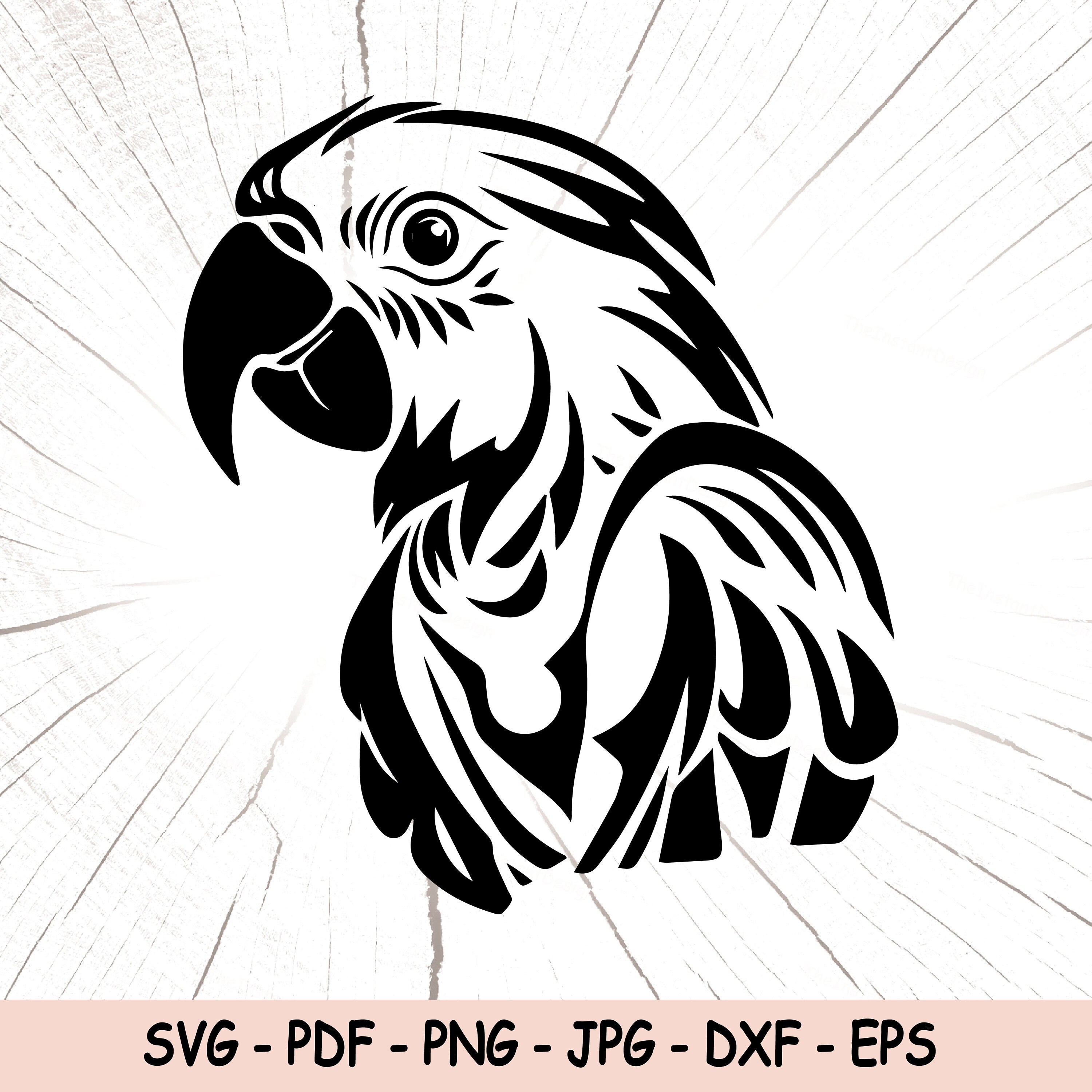 Parrot Png, Parrot Svg, Parrot Digital Download, Parrot Vector, Parrot ...