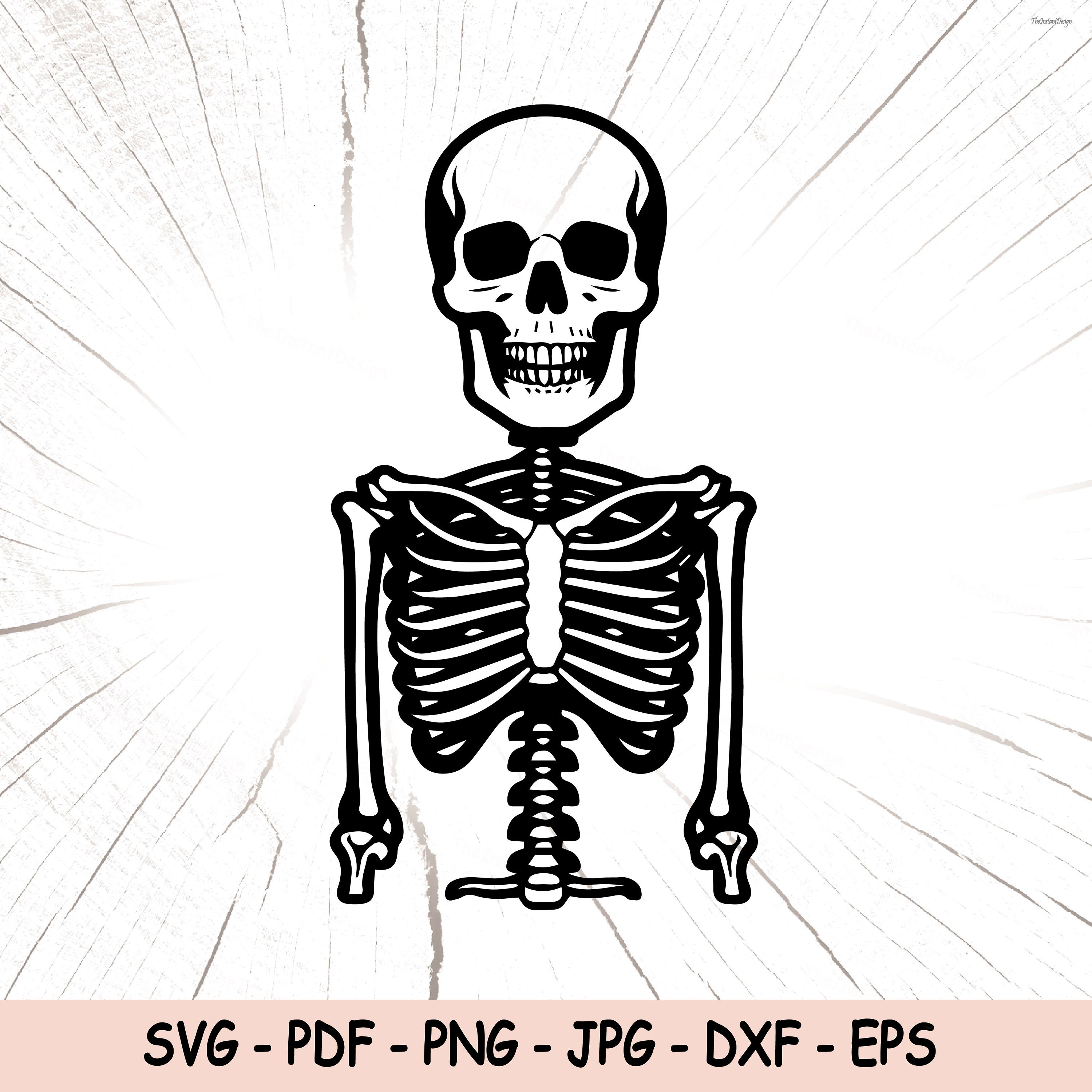 Skeleton Svg, Skeleton Svg, Halloween Svg, Skeletons Clipart, Skull ...