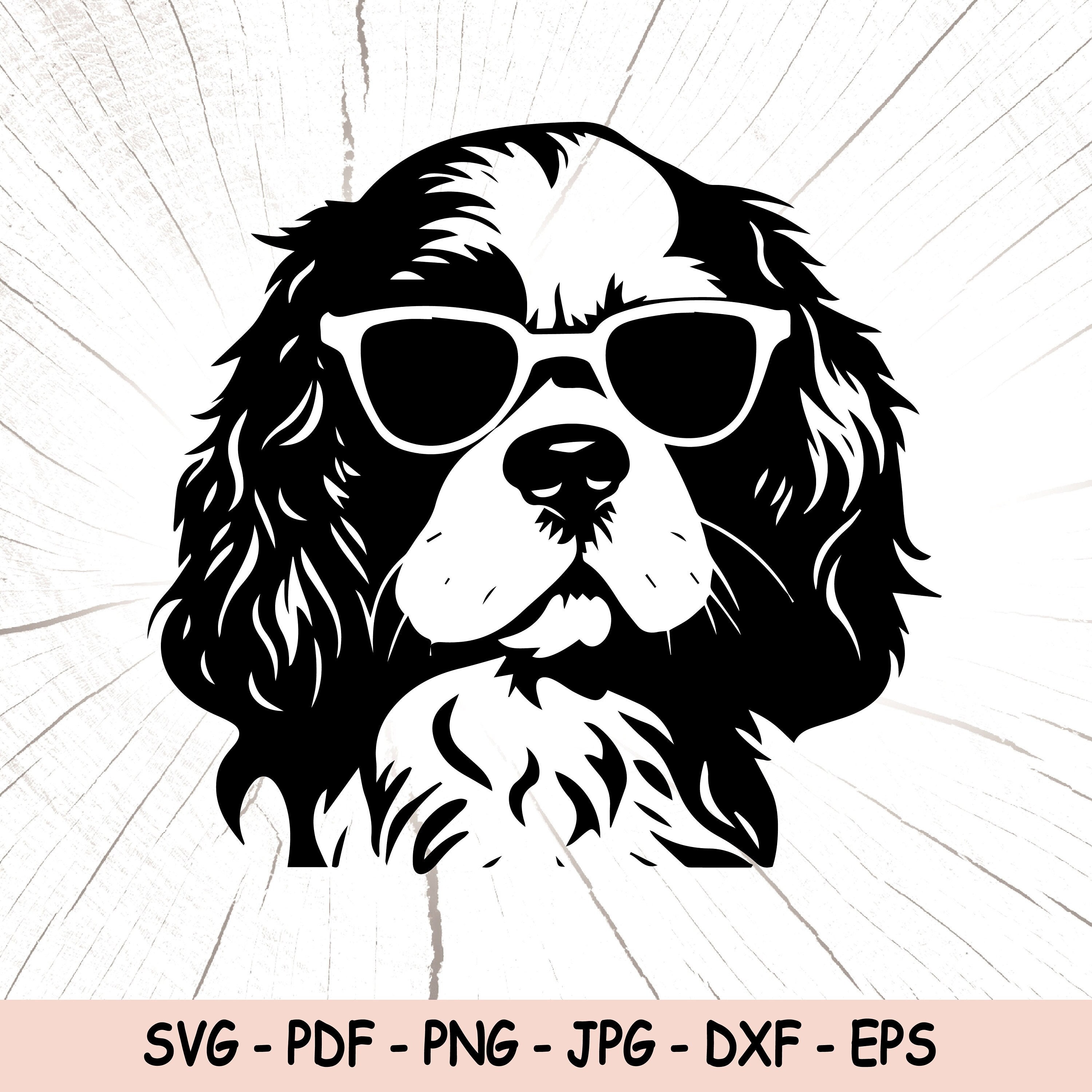 Cavalier King Charles Spaniel Svg, Spaniel Dog With Glasses Png, Funny ...