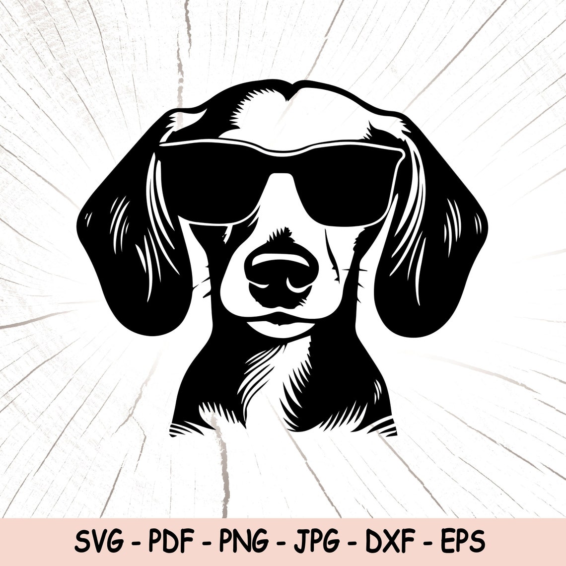 Dachshund Svg, Dachshund With Glasses Png, Funny Dachshund Digital ...