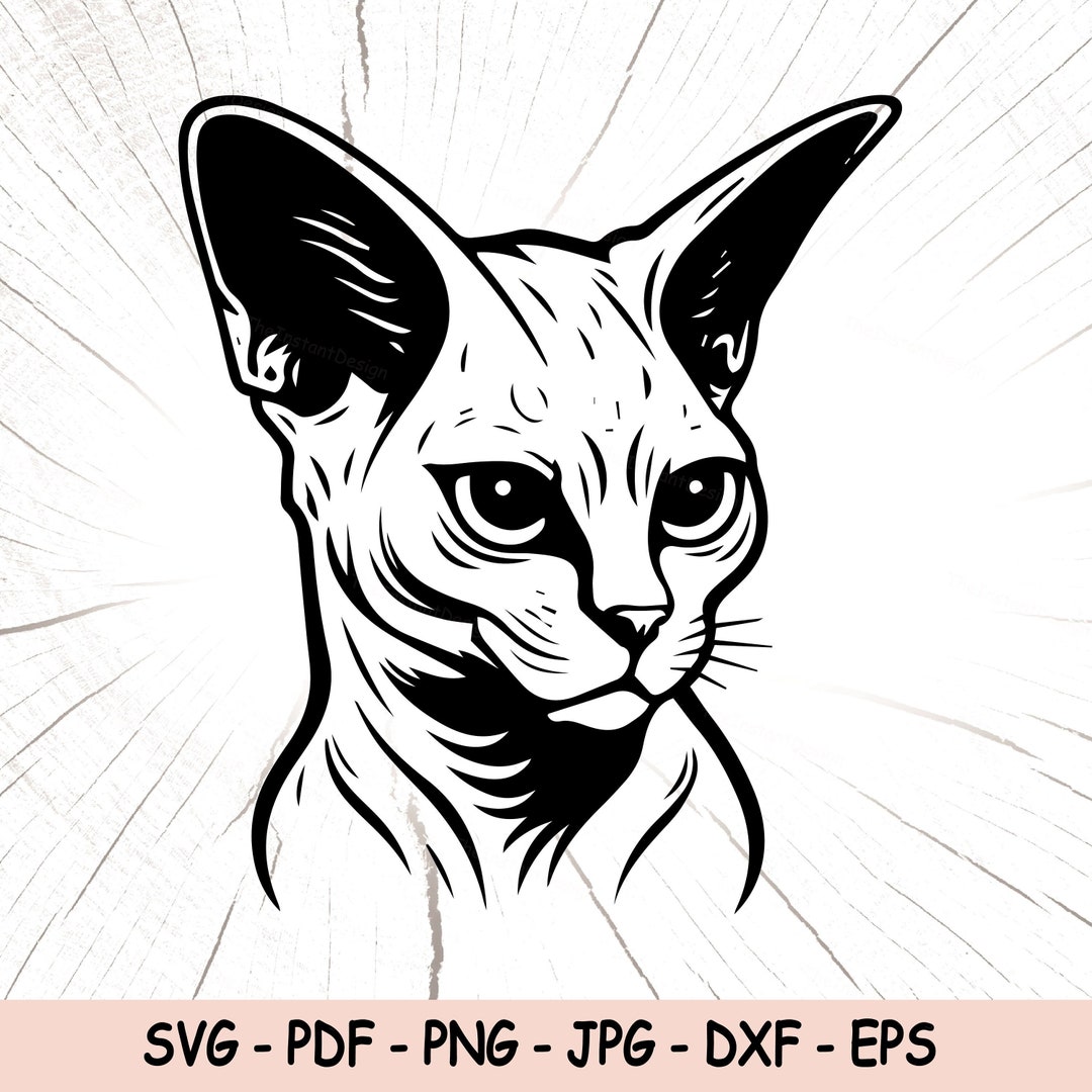 Sphynx Cat Wall Art Svg, Sphynx Cat Svg, Sphynx Cat Digital Download ...