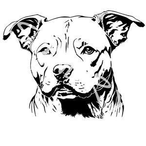SVG & DXF Pitbull Clipart Digital Files Great for Art, Stickers ...