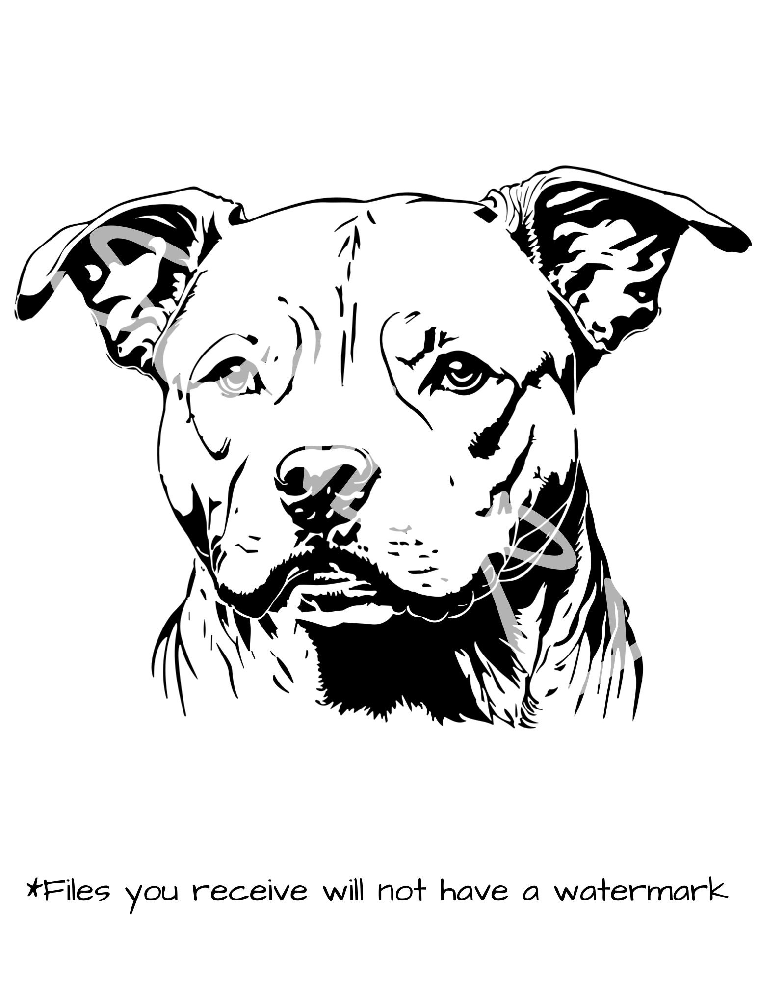 SVG & DXF Pitbull Clipart Digital Files Great for Art, Stickers ...