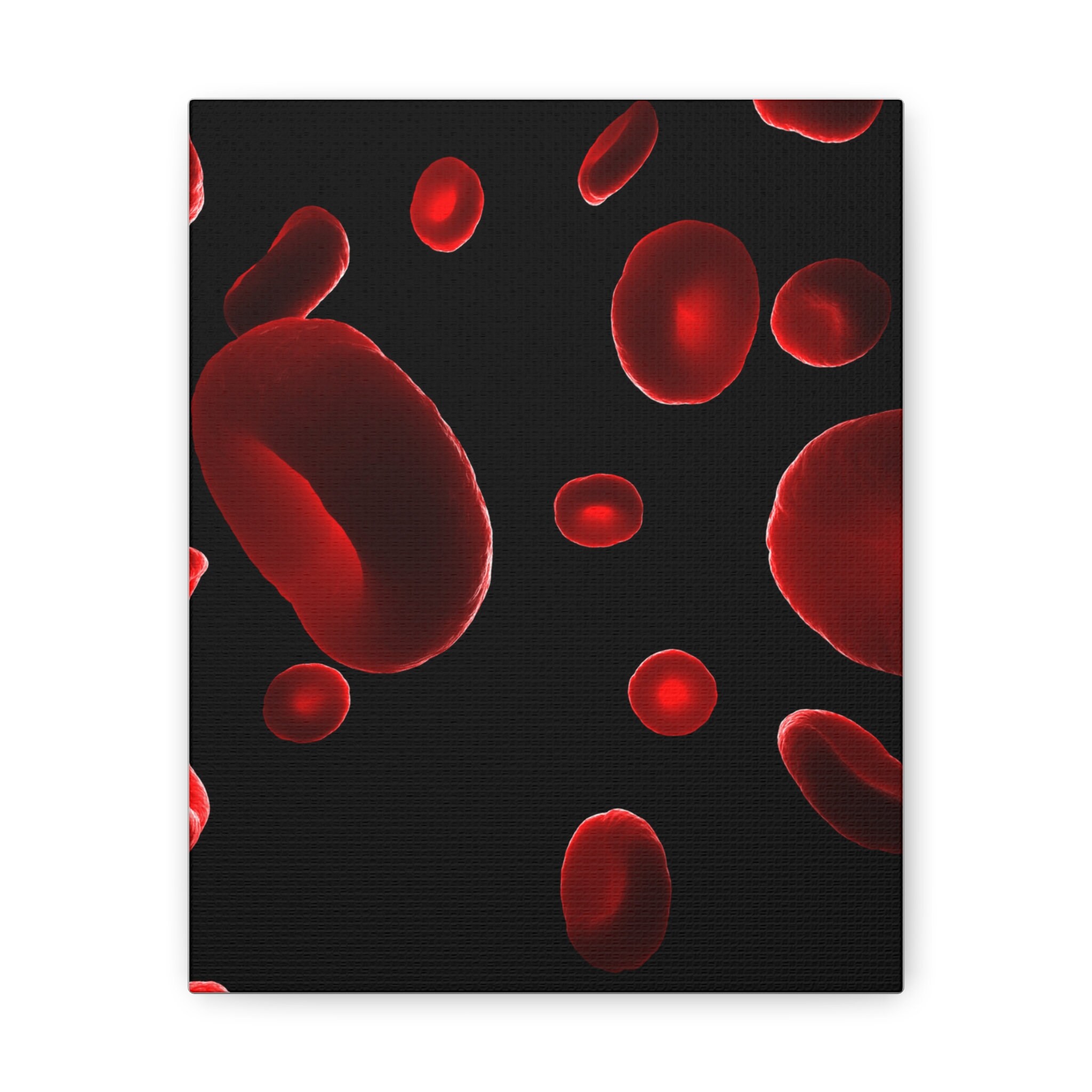 Human Red Blood Cells Canvas Gallery Wraps - Etsy