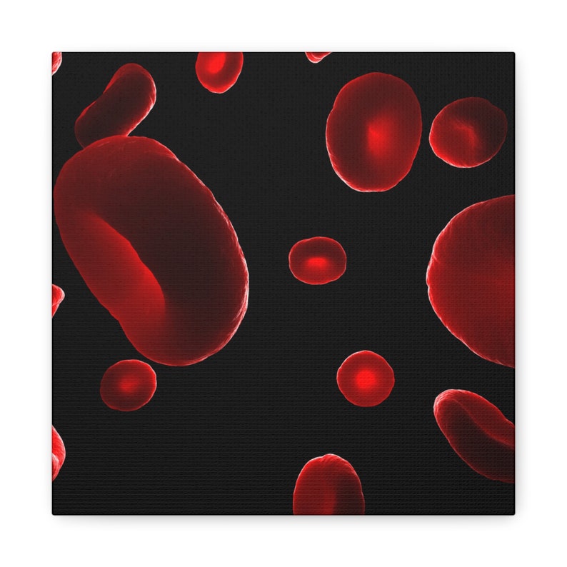 Human Red Blood Cells Canvas Gallery Wraps - Etsy