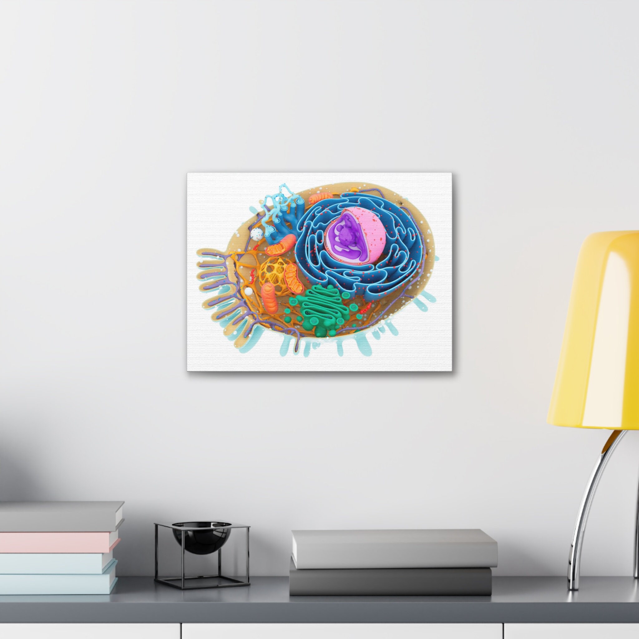 Human Cell Structure Illustration Artwork Canvas Gallery Wraps - Etsy