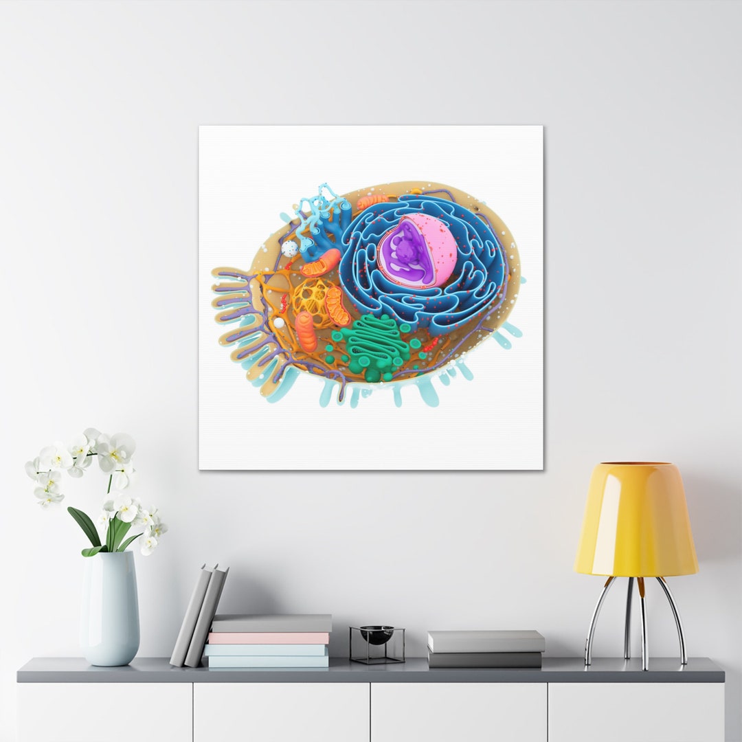 Human Cell Structure Illustration Artwork Canvas Gallery Wraps - Etsy
