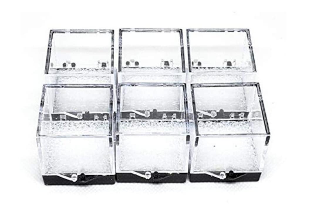 6 Pieces Perky Thumbnail Specimen Box, Hinged, With Foam Base 1.25” X 1 ...
