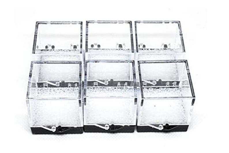 6 Pieces Perky Thumbnail Specimen Box, Hinged, With Foam Base 1.25” X 1 ...